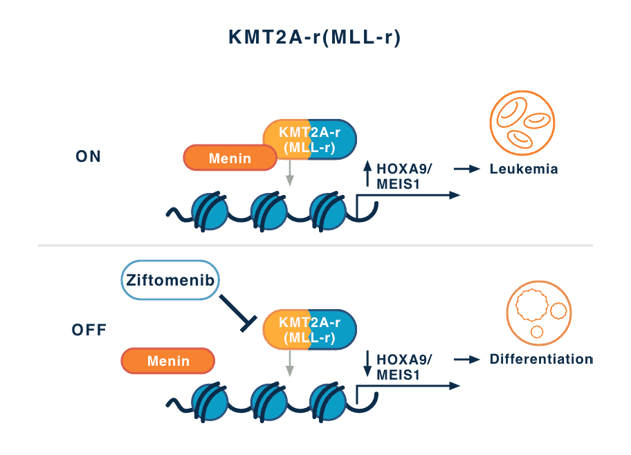 Pipeline | Kura Oncology